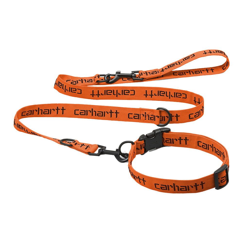 Carhartt WIP Script Dog Leash & Collar Orange/Black – Degli Uberti